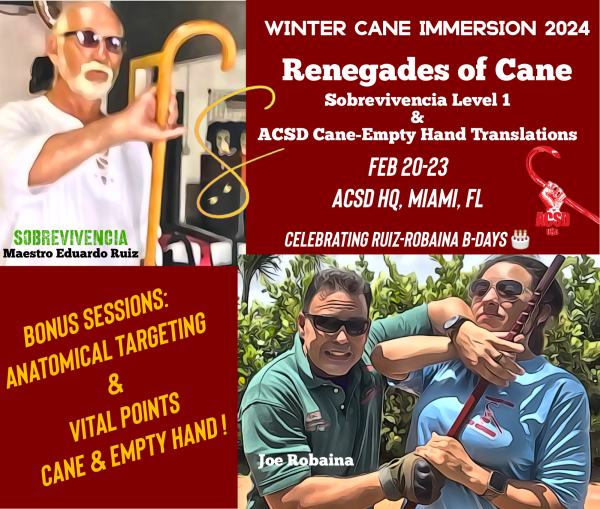 CaneFlow-The Cane Dance of Self Defense & Well Being! - American Cane ...